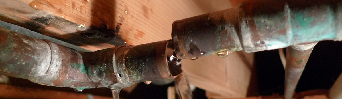 Escape of Water - Response Services