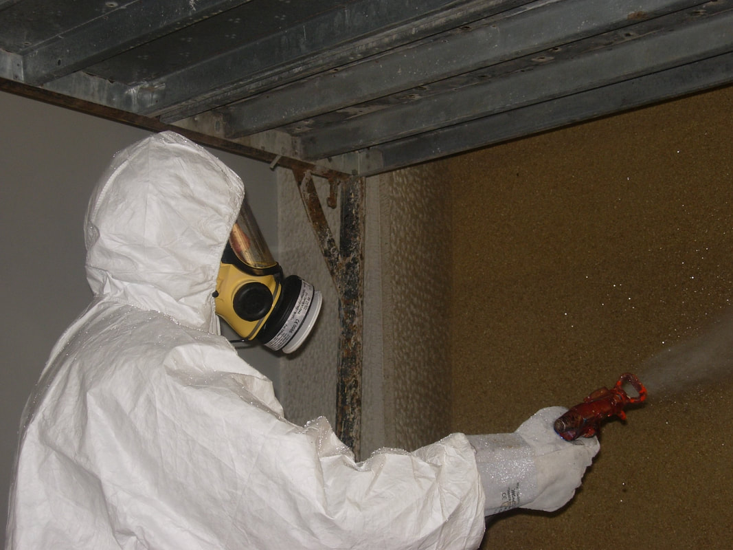 Asbestos Remediation - Response Services